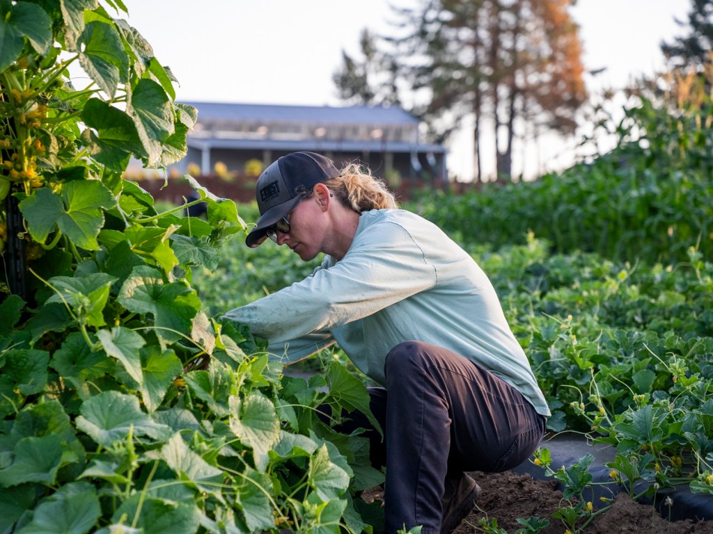 El Chef Matthew Lightner ofrece una alquimia única de ingredientes ...